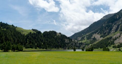 Discover Alpine's Treasures: A Journey Of Serenity And Wonder ...