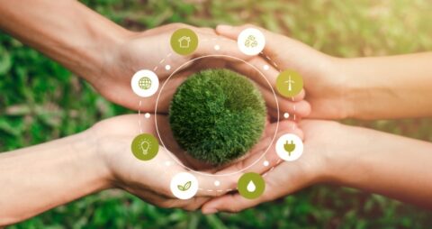 The Best Of Tecate, California: A Guide To Scenic Views And Local Culture | McMillan Law Group