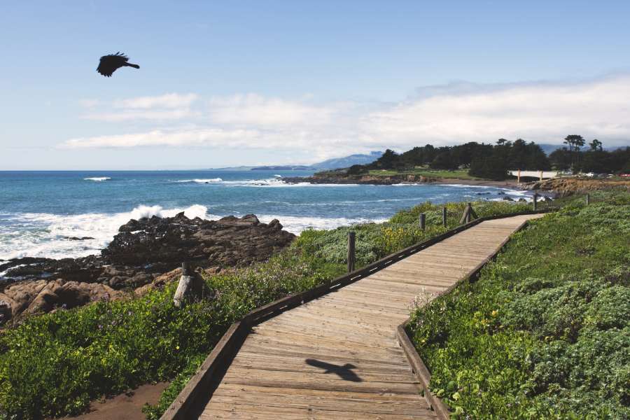 Bonita, California: Your Ultimate Guide To Things To Do And Places To ...